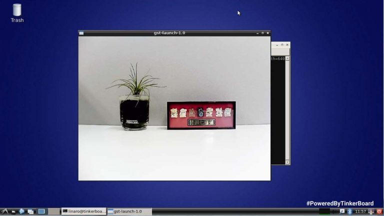 Tinker Board用カメラモジュール - Physical Computing FAQ& Tutorial